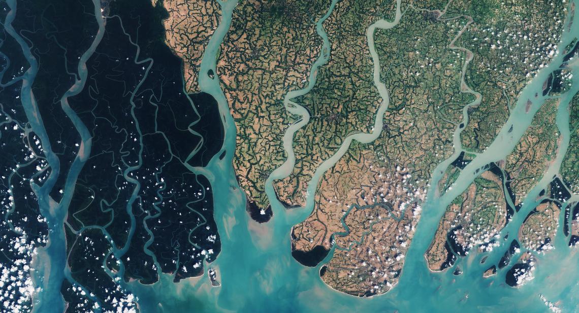 Planning Students Advance to Nature-based Future Challenge Finals | School of Architecture