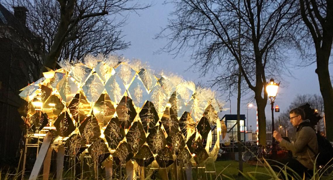 Flowering Phantasm on View at Amsterdam Light Festival | School of ...